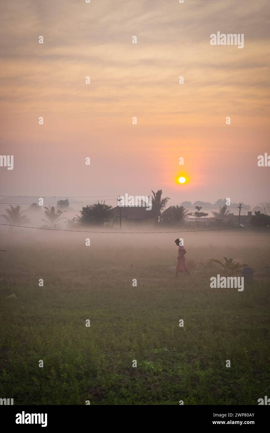 Landscape with sunrise in rural farmland in India. Foggy sunrise at Goa ...