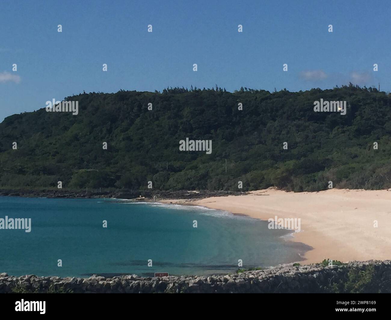 Sandy beach by ocean with trees and rocks Stock Photo - Alamy