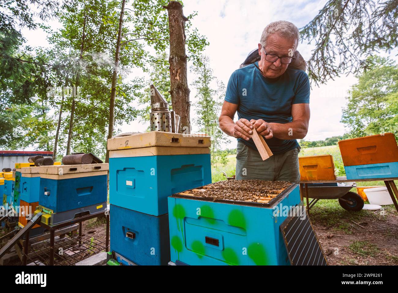 Fantastic beehive producing honey, nature, man and bee, sweet honey ...