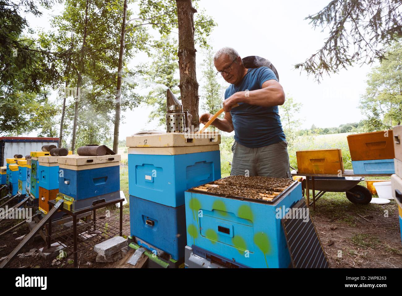 Fantastic beehive producing honey, nature, man and bee, sweet honey ...