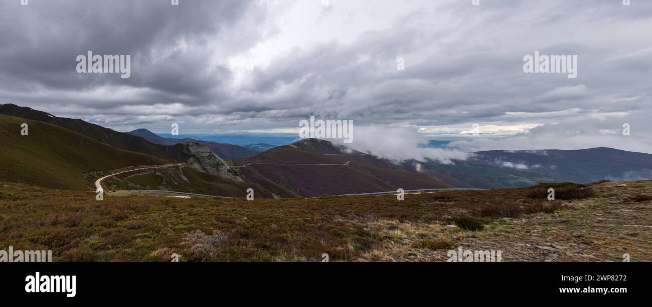 Explore leon hi-res stock photography and images - Alamy