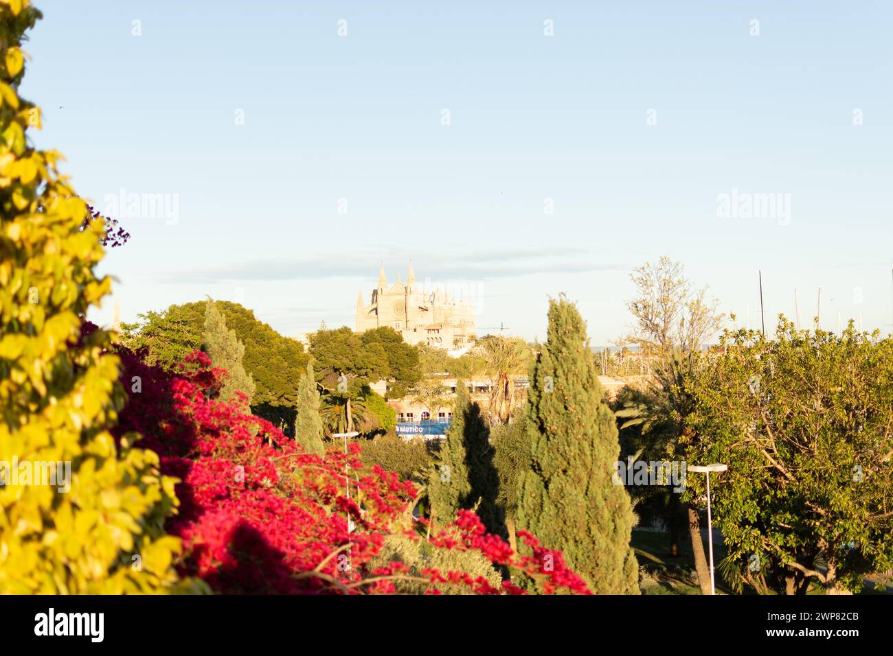 Lush greenery with colorful trees hi-res stock photography and images ...
