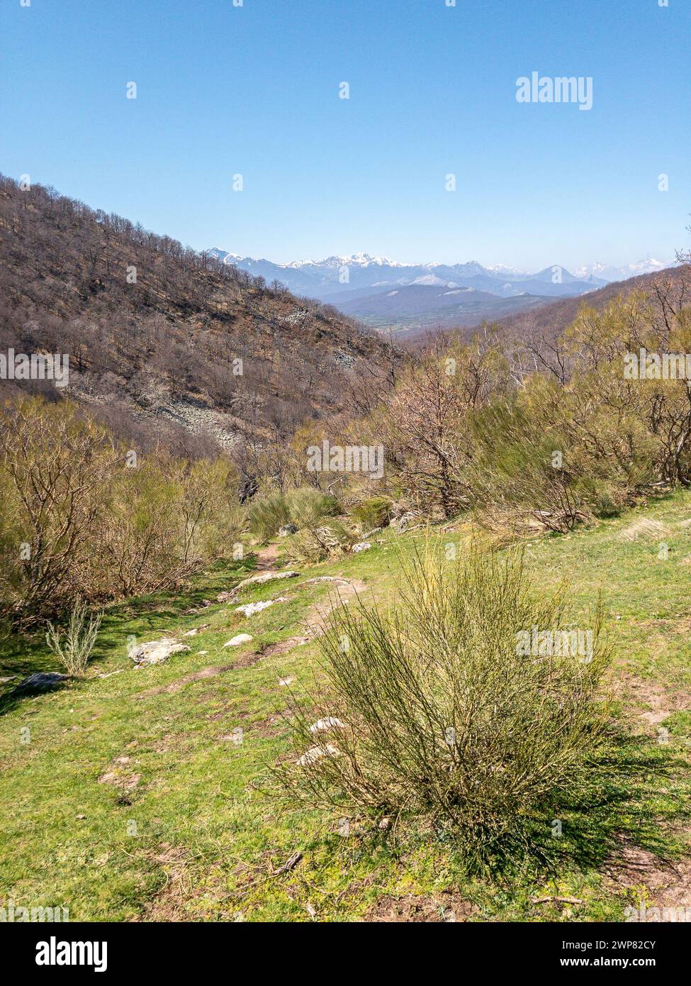 The Landscape of the Palentina Mountain in northern Spain Stock Photo ...