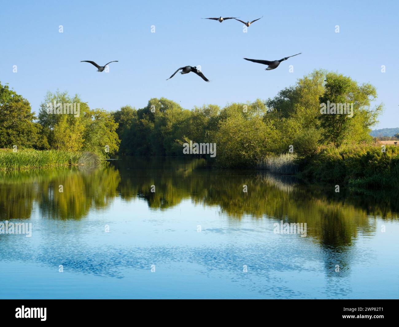 Founded in 1921, Radley boathouse in Oxfordshire has been serving ...