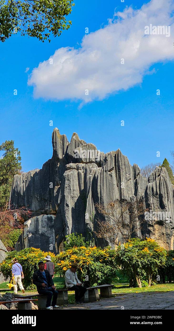 Shilin park hi-res stock photography and images - Alamy