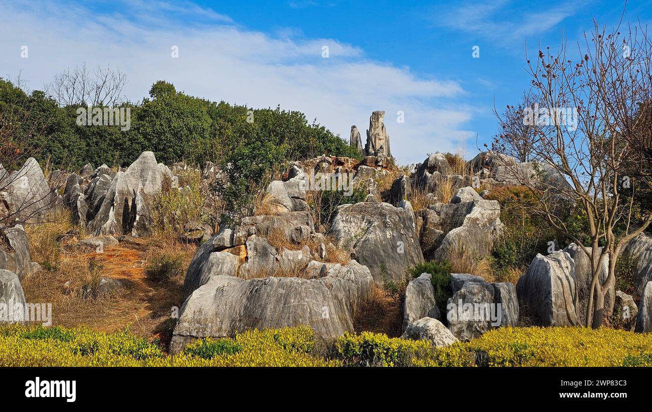 A serene landscape of Shilin Stone Forest located in China Stock Photo ...