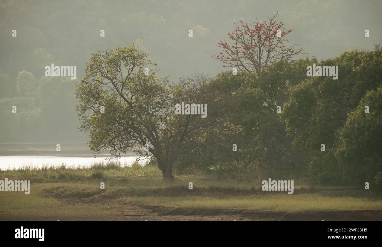Beautiful natural scenery of river in southeast Asia tropical green ...