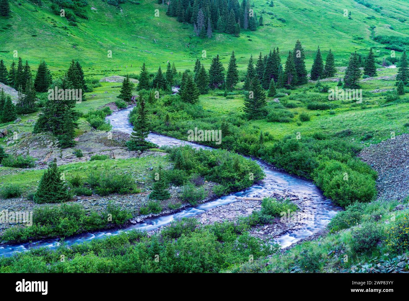 River flowing through vibrant green hillside beside trees Stock Photo ...