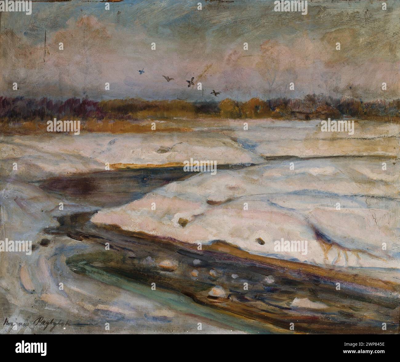 The Society of Encouragement of Fine Arts in Warsaw (1860-1940 ...