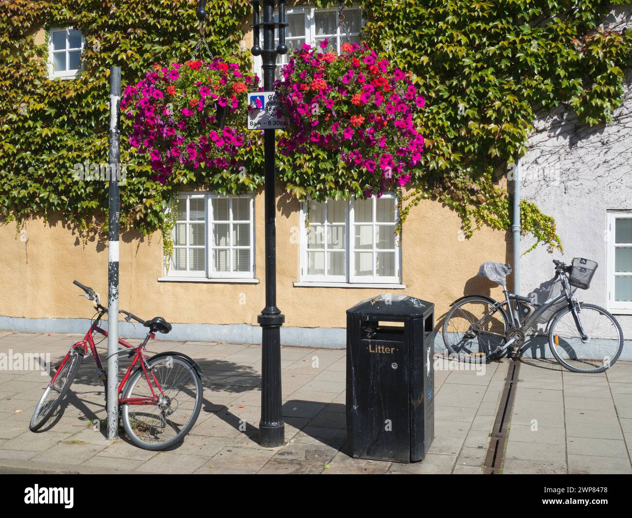 The Boston Ivy covering this house in Broad Street, Oxford, turn to ...