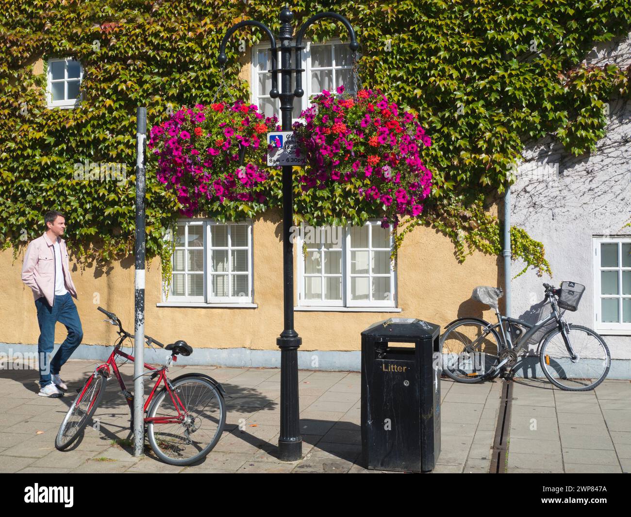 The Boston Ivy covering this house in Broad Street, Oxford, turn to ...