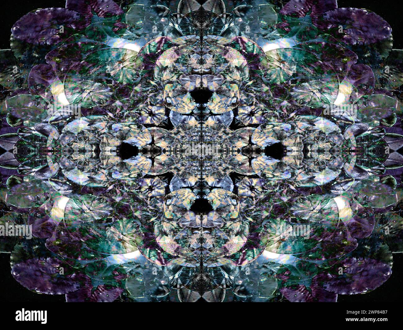 A vision of abstract beauty in nature - sun, reflection and reeds on ...