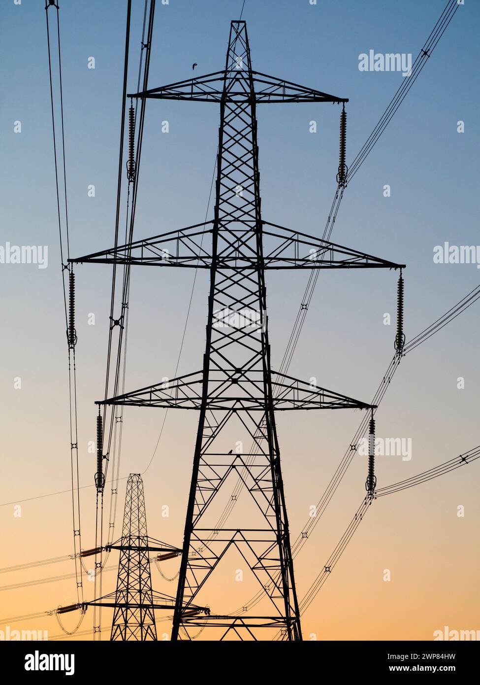 I love electricity pylons; I find their abstract, gaunt shapes ...