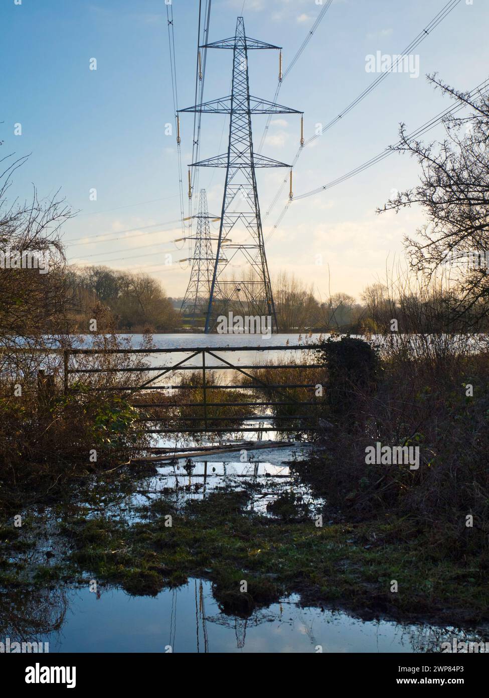 I have always been fascinated by our UK pylons - what in much of the ...
