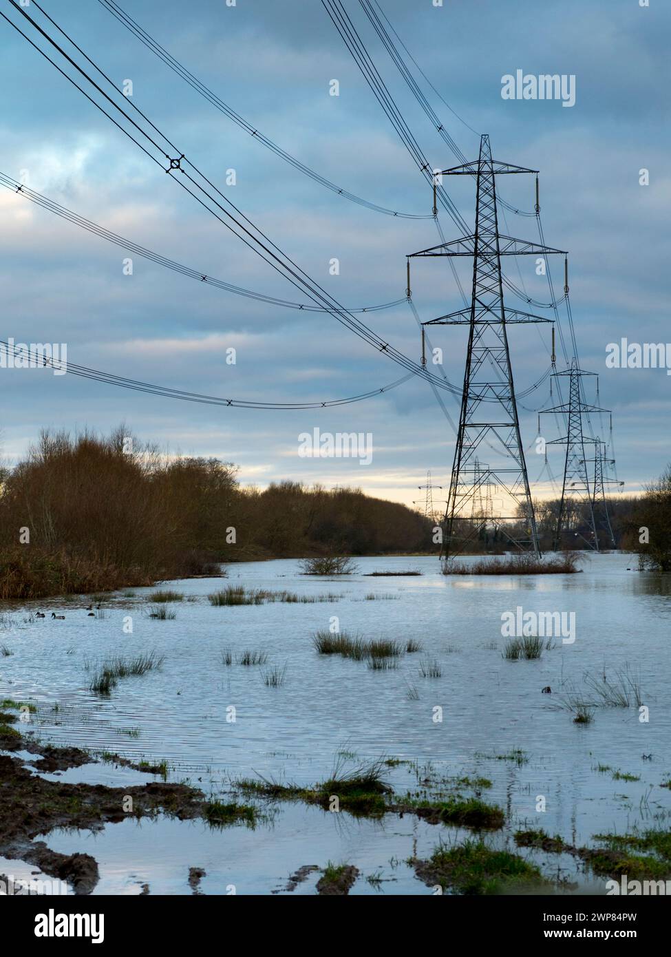 I have always been fascinated by our UK pylons - what in much of the ...