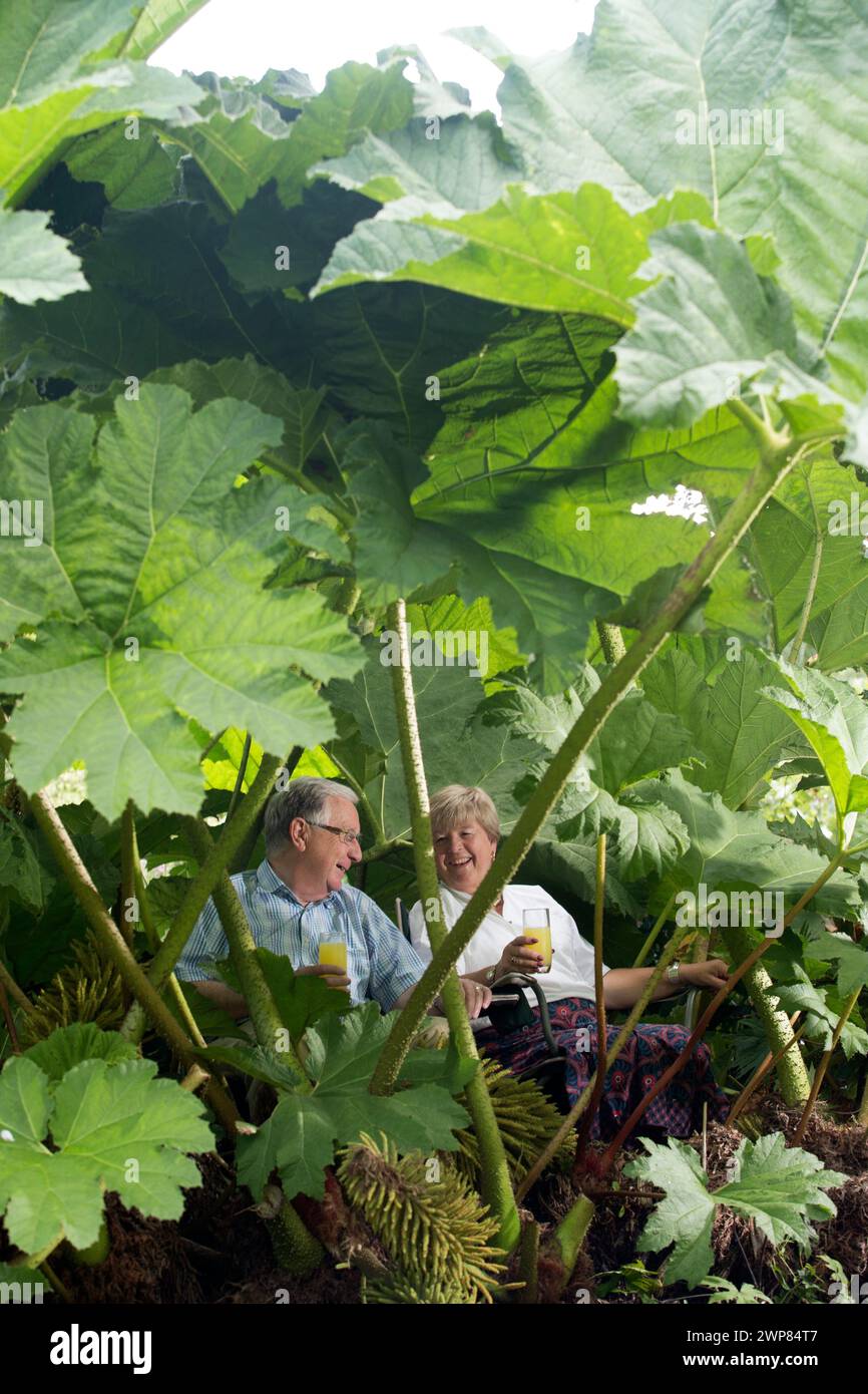07/08/16 Anthony and Jenny Phillips, enjoy the shade under their giant ...