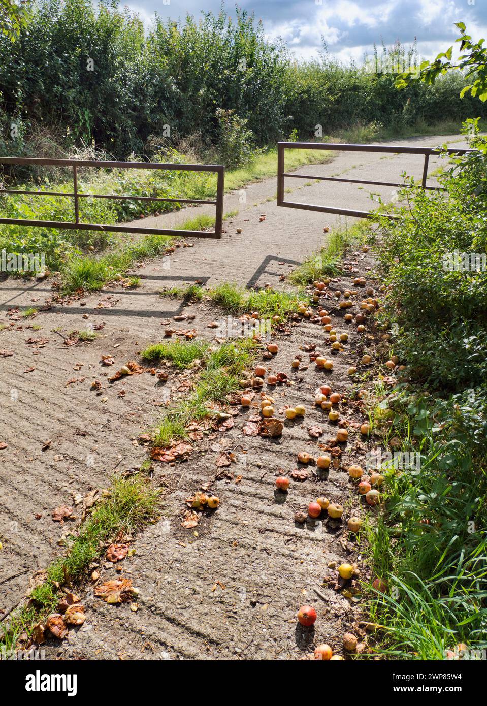 Fallen down gate hi-res stock photography and images - Alamy