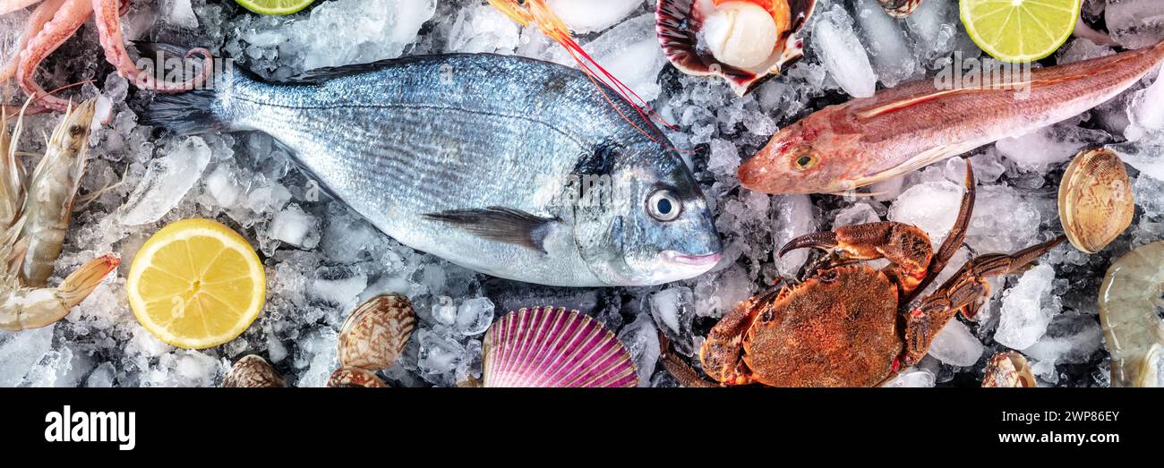 Seafood panorama. Fresh fish and sea food on ice, overhead flat lay ...