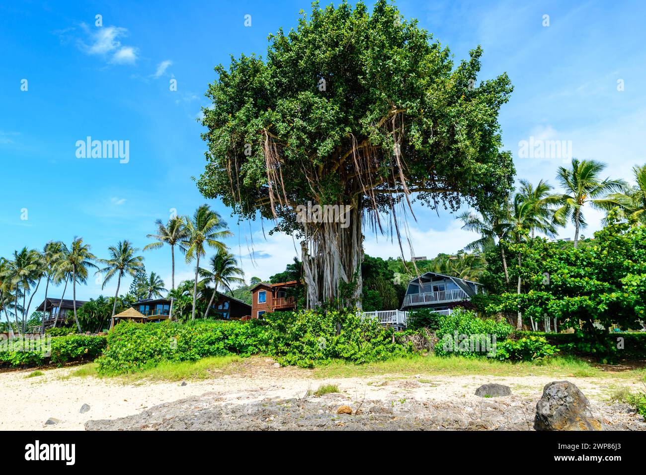 Idyllic hawaiian landscape stunning nature hi-res stock photography and ...