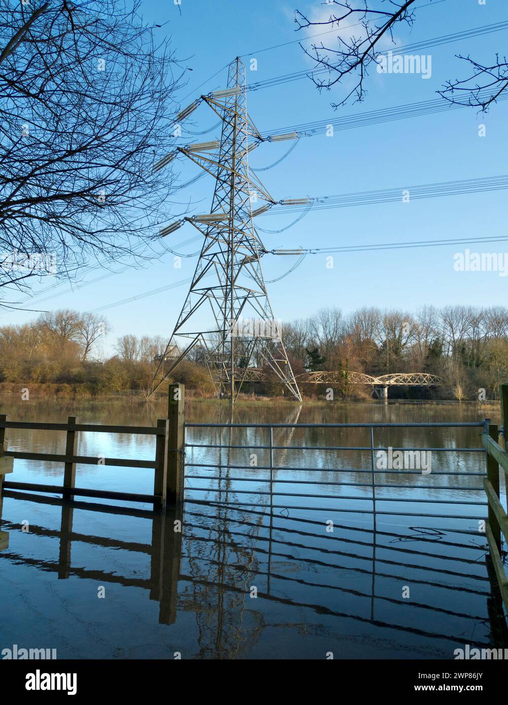 I have always been fascinated by our UK pylons - what in much of the ...