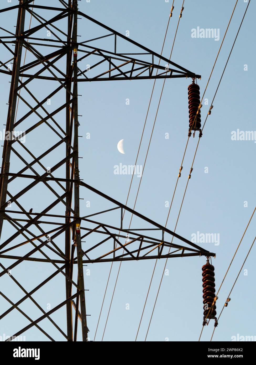 I love electricity pylons; I find their abstract, gaunt shapes ...