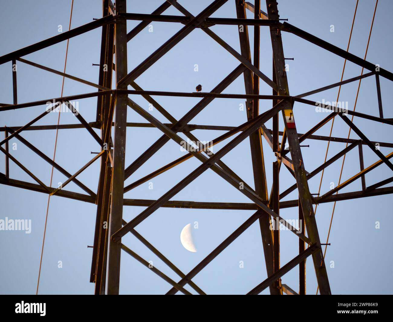 I love electricity pylons; I find their abstract, gaunt shapes ...