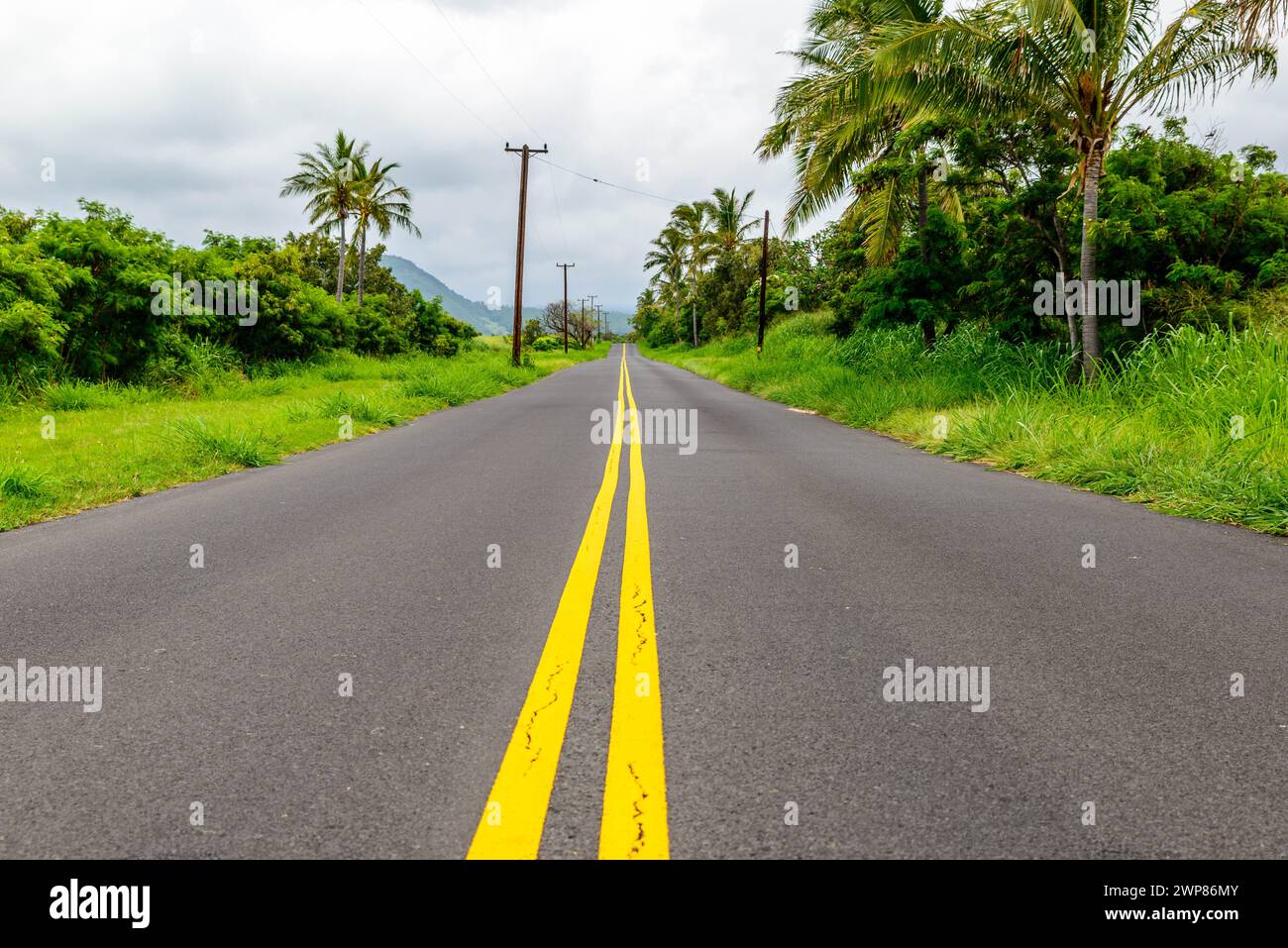 Double yellow center lines hi-res stock photography and images - Alamy