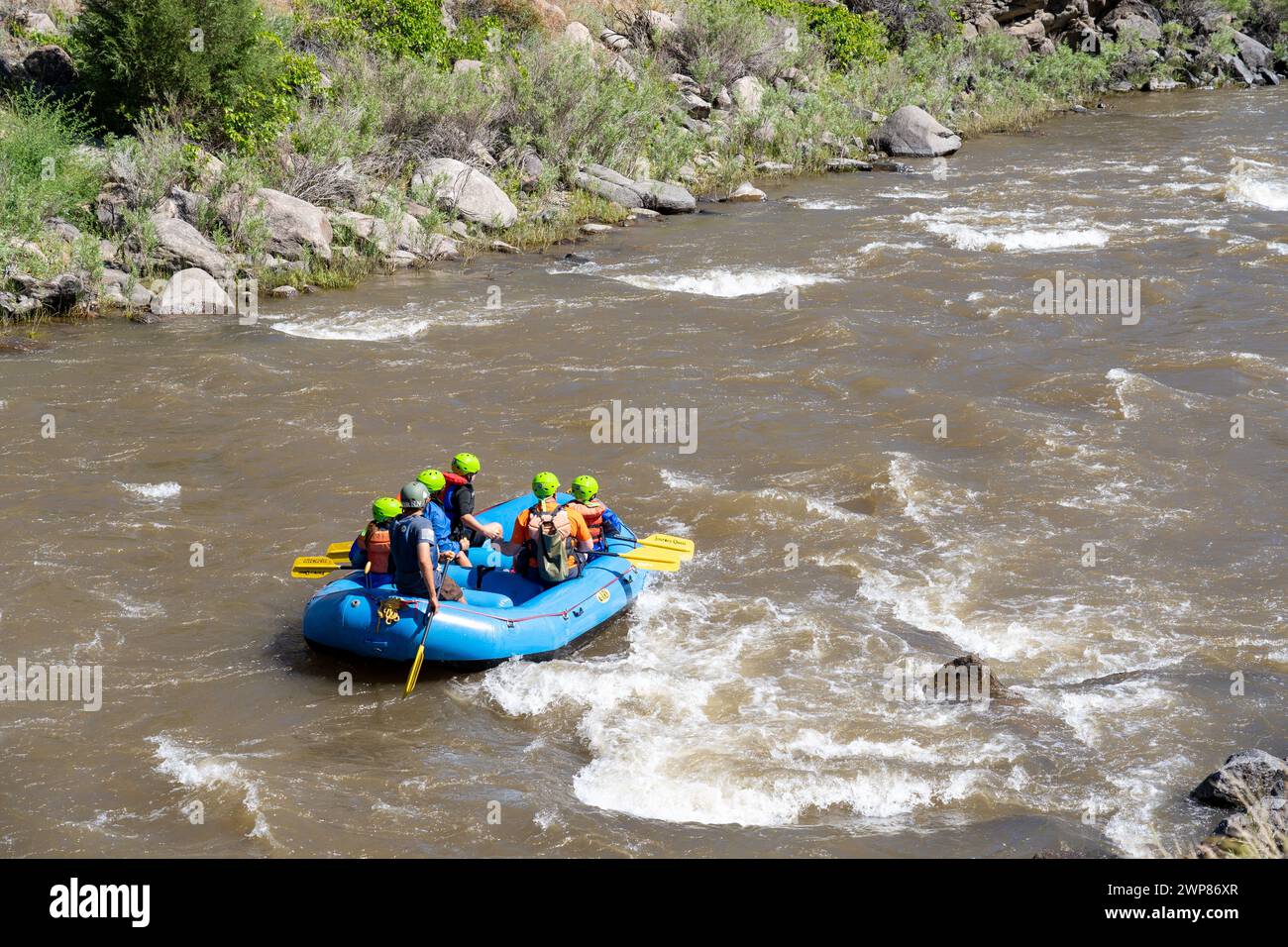Whitewater rafting colorado river hi-res stock photography and images ...