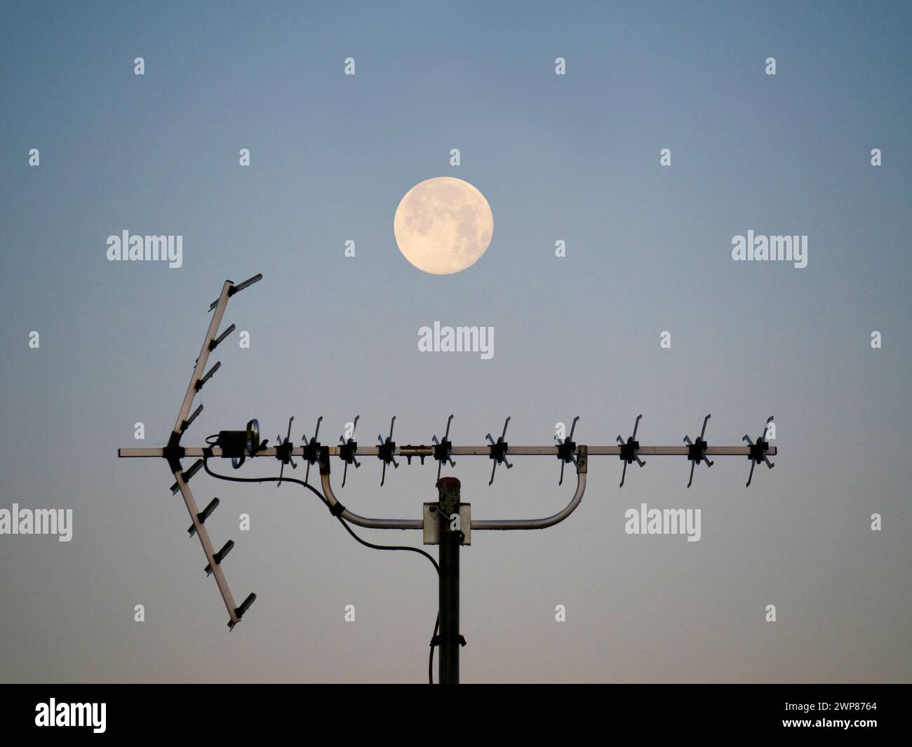 A full Beaver Moon is setting over the rooftops of my home in Radley ...
