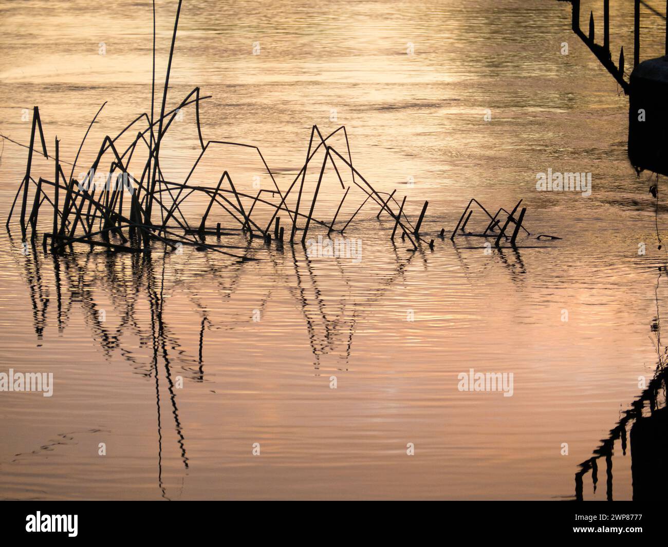 Abstract patterns of nature and the built environment. Abingdon-on ...
