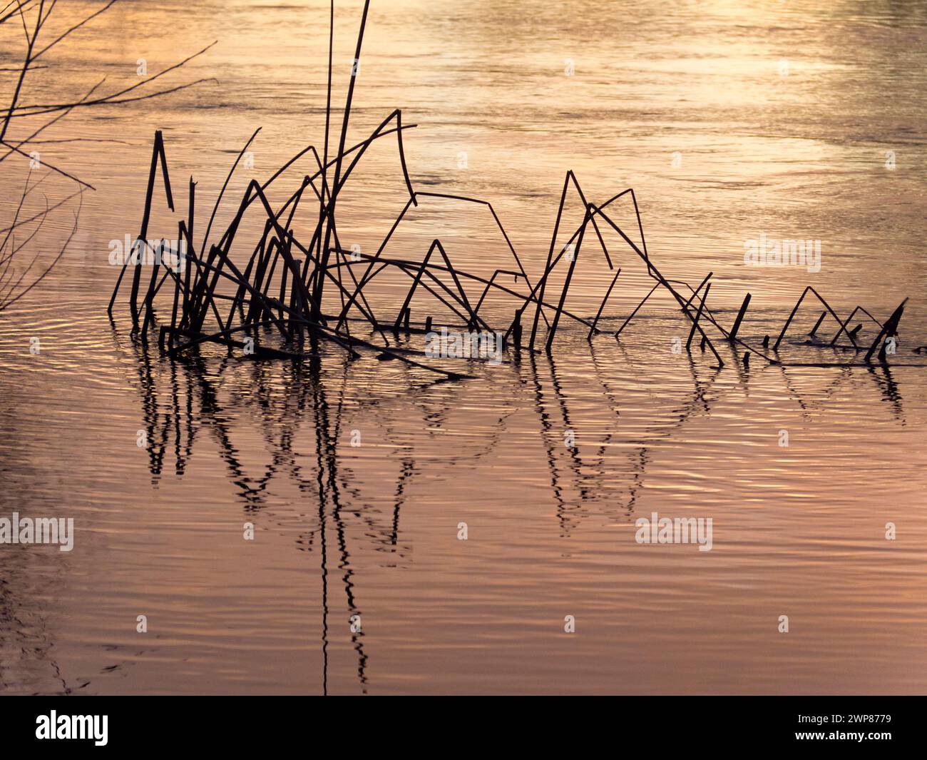 Abstract patterns of nature and the built environment. Abingdon-on ...