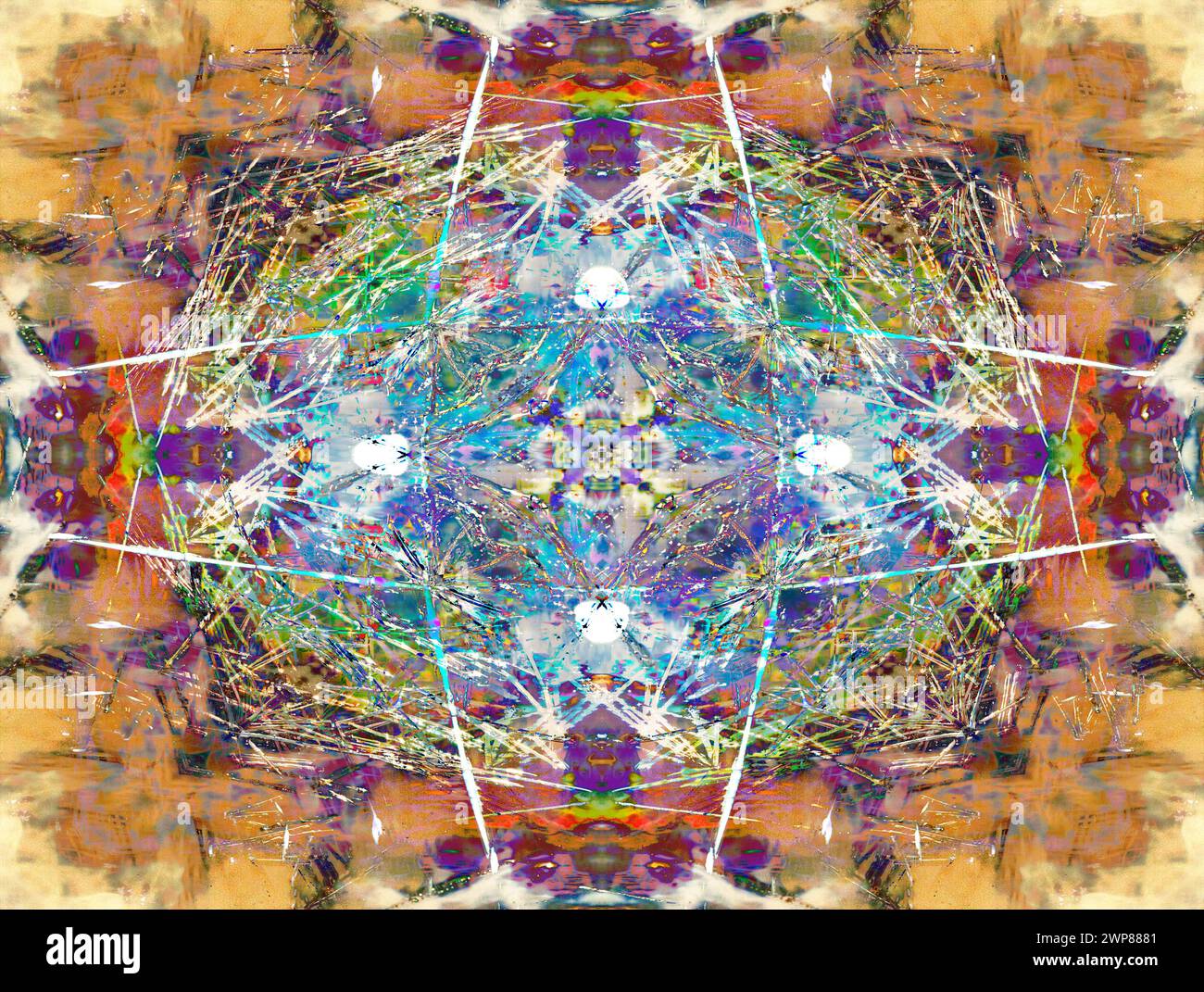 A vision of abstract beauty in nature - sun, reflection and reeds on ...