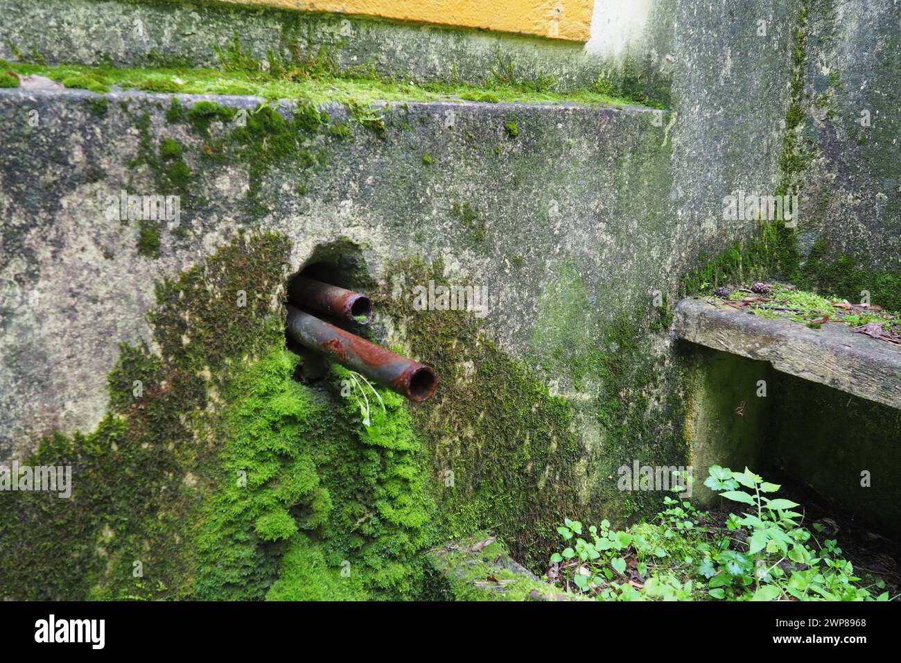 Banja Koviljaca, Loznica, Serbia. Mount Guchevo, park and forest ...