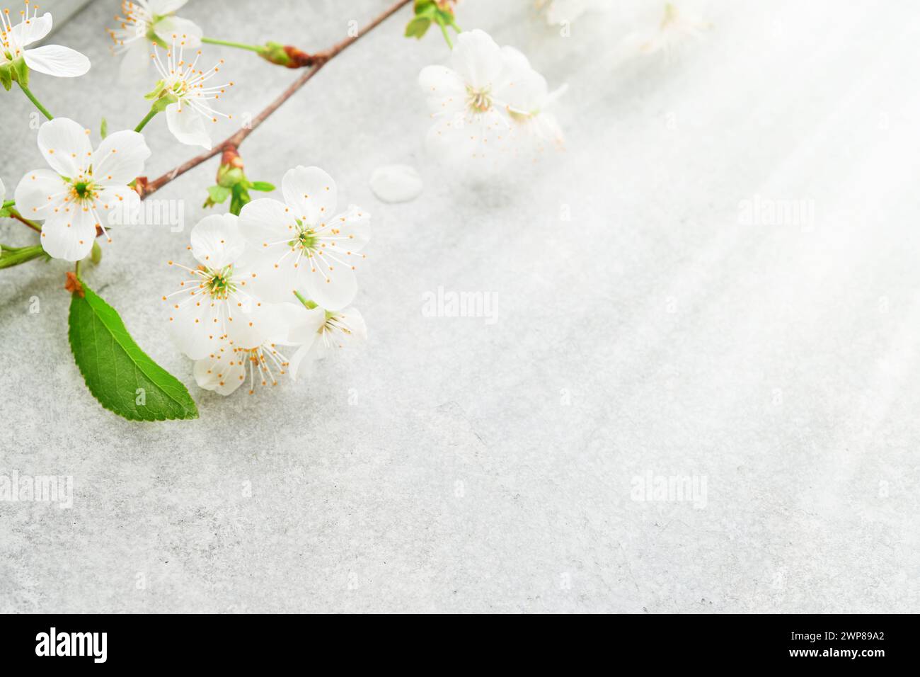 Eas symbol hi-res stock photography and images - Alamy