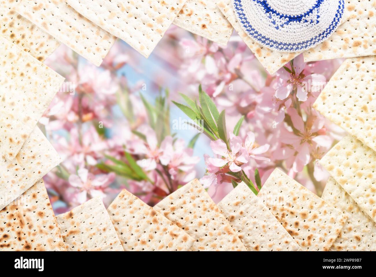Passover seder celebration concept. Matzah, kosher walnut, white and ...