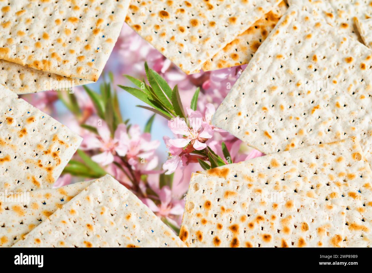 Passover sedercelebration concept. Star of David made from matzah in ...