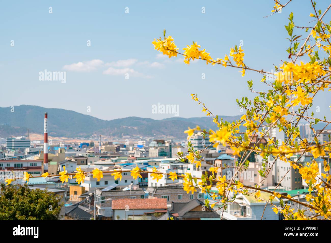 View of Miryang City with spring flower in Miryang, Korea Stock Photo ...