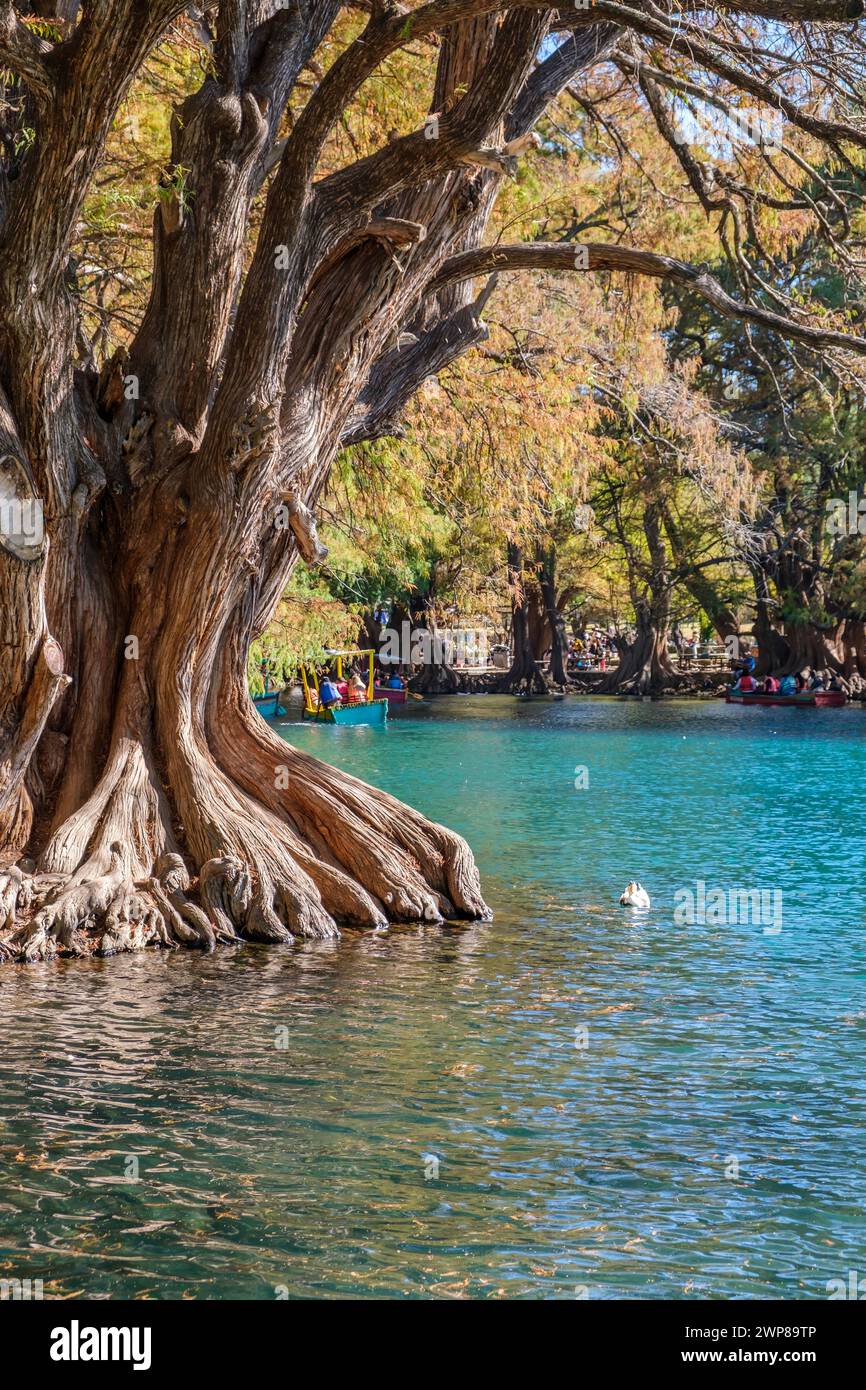 A scenic view of Camecuaro, Tangancicuaro, Michoacan, Mexico Stock ...