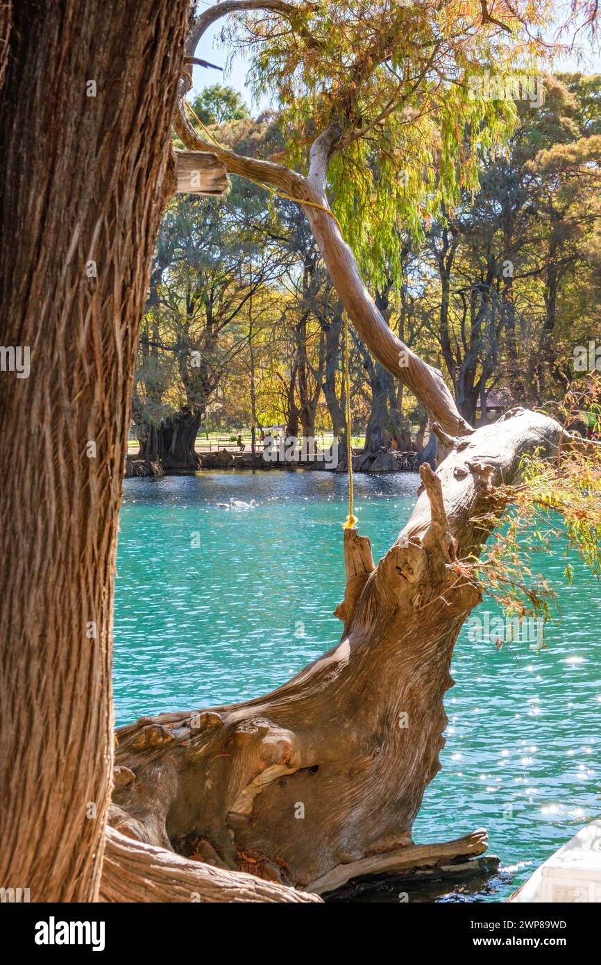 A scenic view of Camecuaro, Tangancicuaro, Michoacan, Mexico Stock ...