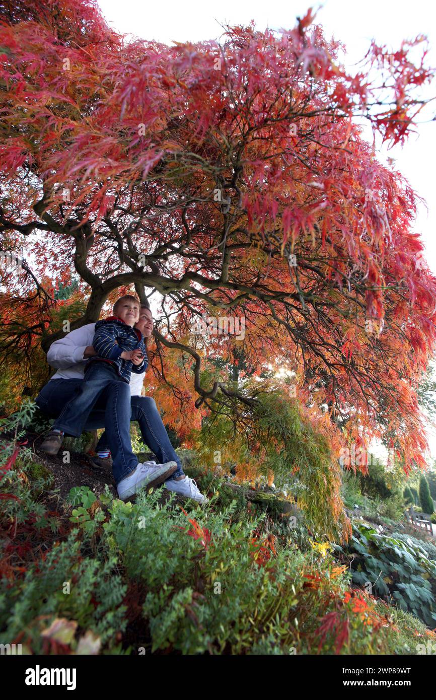 07/10/12. Sarah McCrory (37) and her nephew, Sam Barker (3) marvel at the autumn colour under an ...