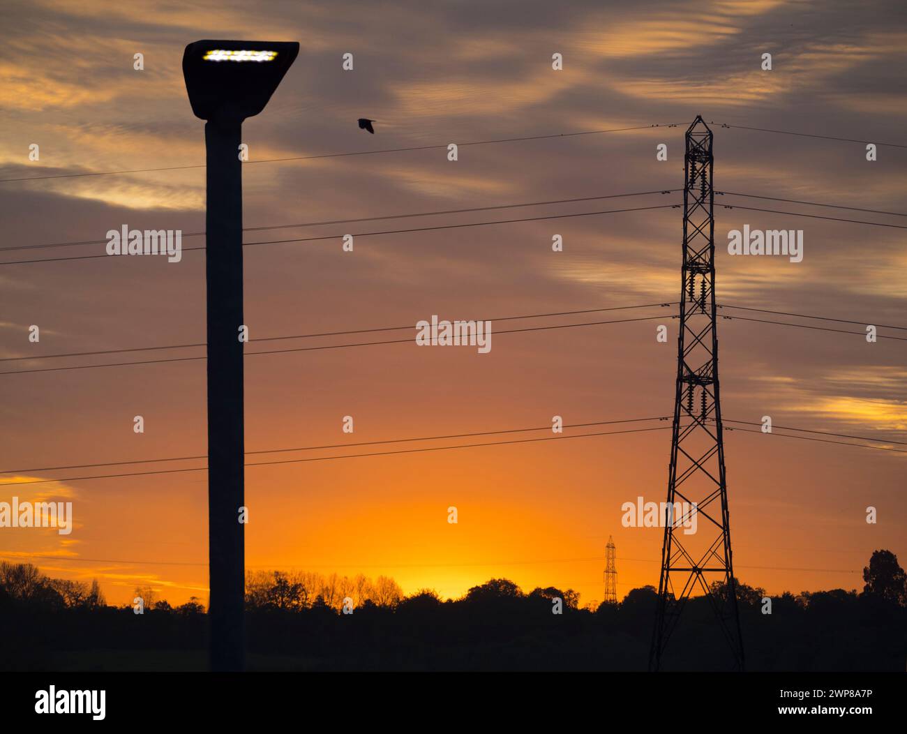 I love electricity pylons; I find their abstract, gaunt shapes ...