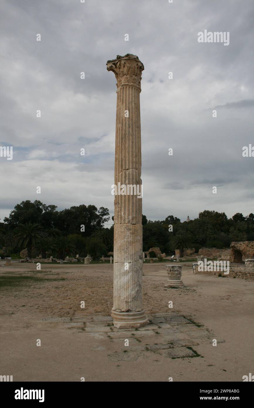 The ancient Roman ruins in Tunisia Stock Photo - Alamy
