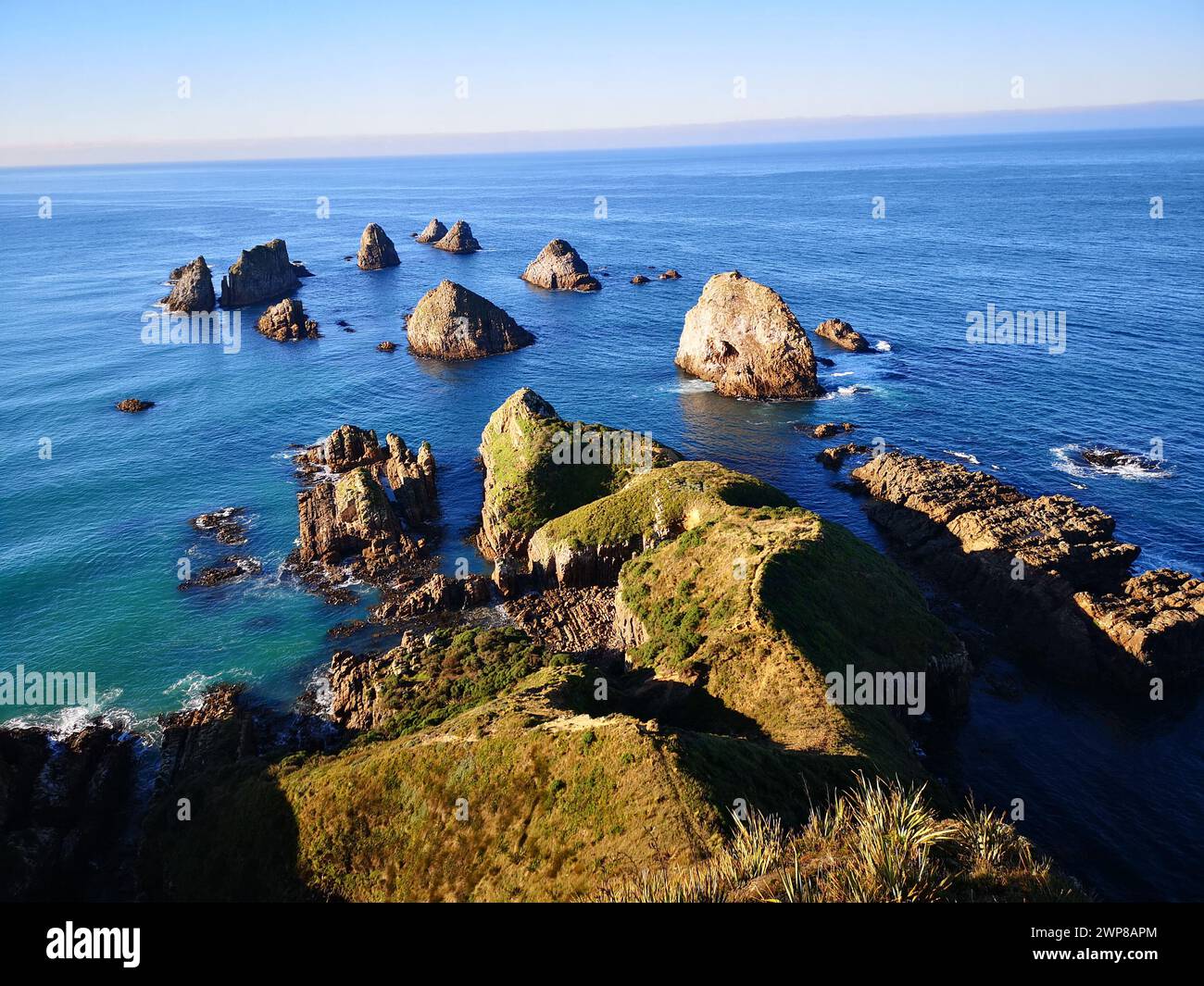 The iconic Nugget Point, Otago coast landmark, New Zealand Stock Photo ...
