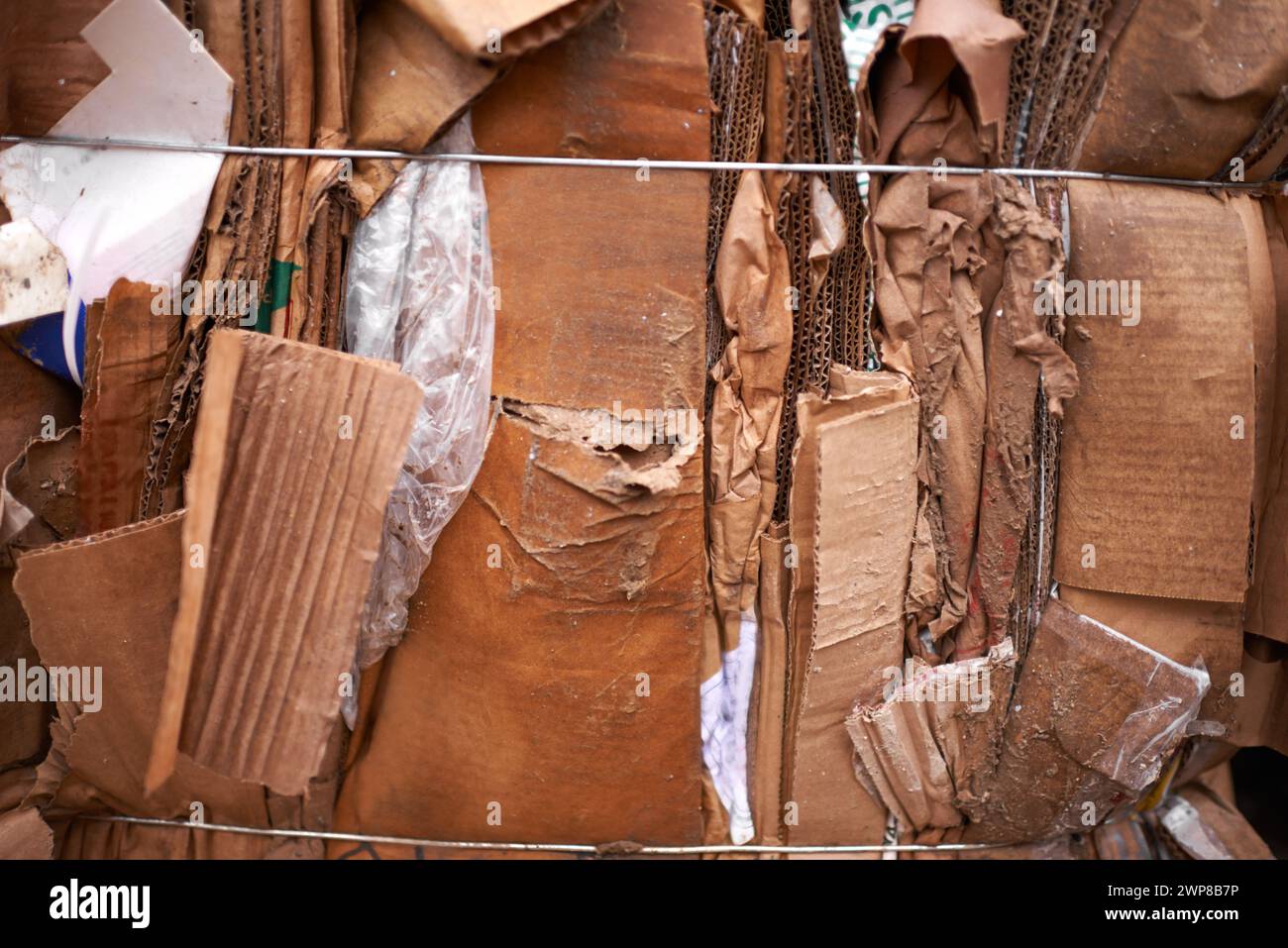 Recycle, cardboard or box of trash in outdoor for waste management ...