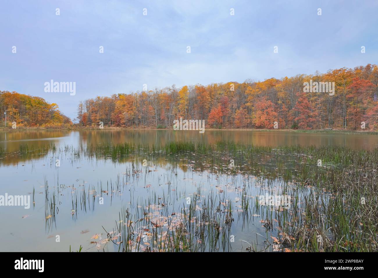 Coopers Rock State Park Reservoir in Fall Stock Photo - Alamy
