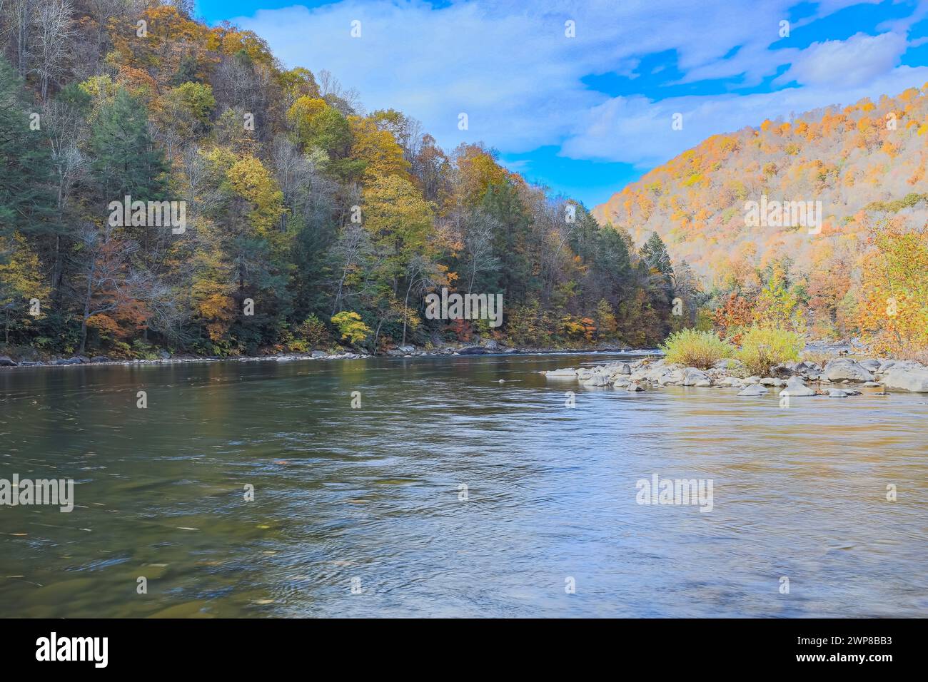The Cheat River at the Confluence of the Big Sandy River in West ...
