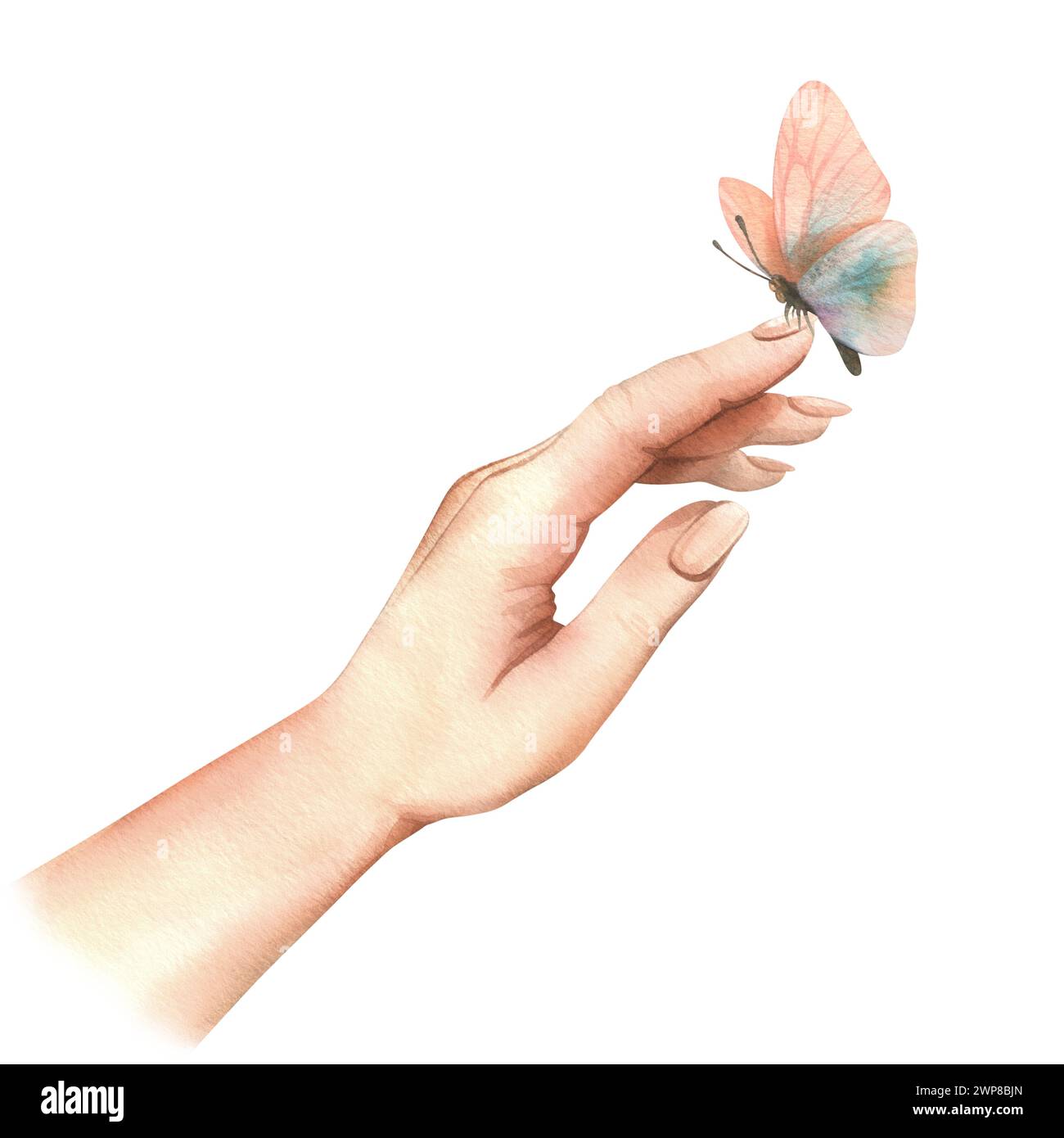 Touch hand touching butterfly hi-res stock photography and images - Alamy
