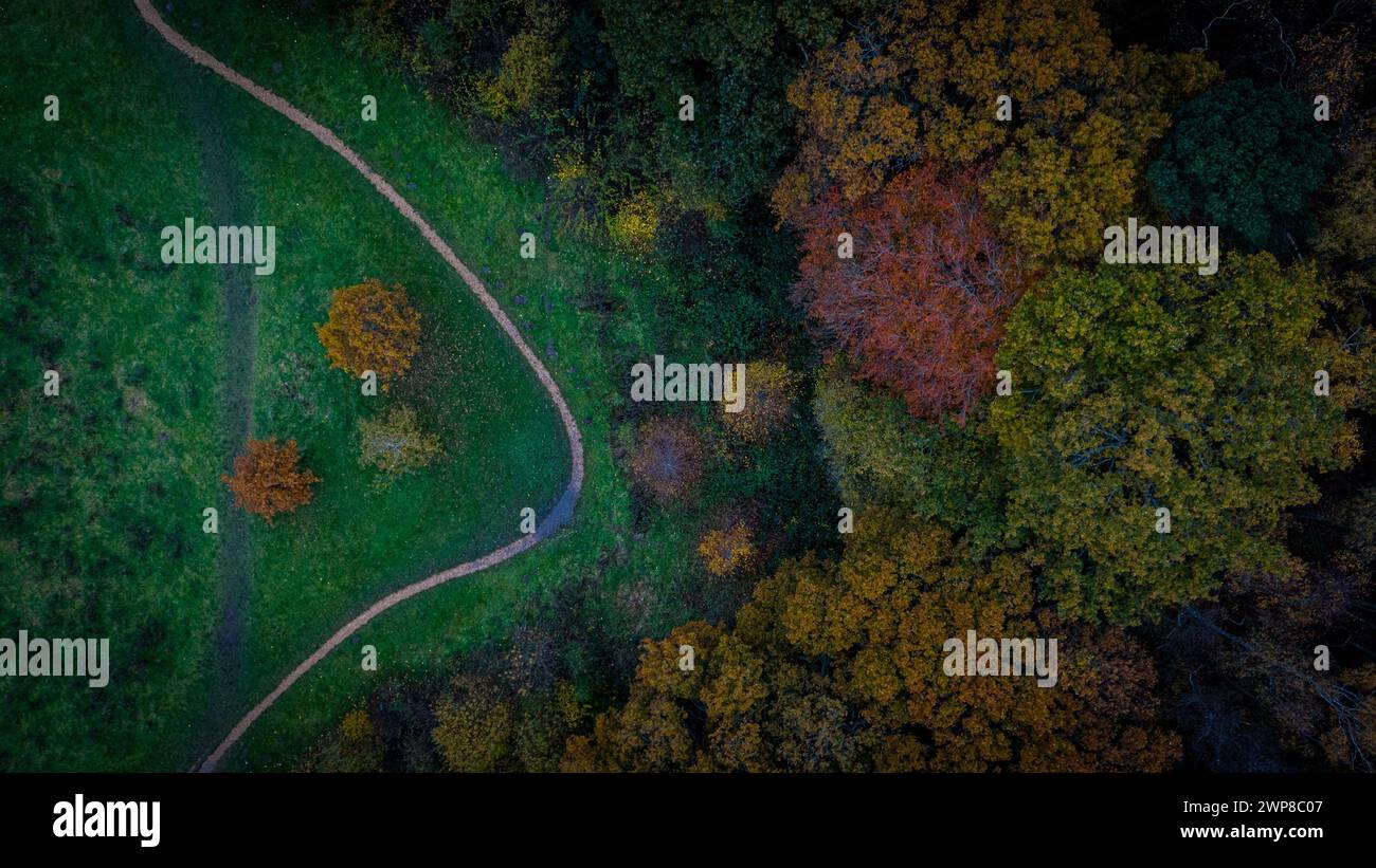 A Top down view of trees with autumn colours beside a trail in a park ...
