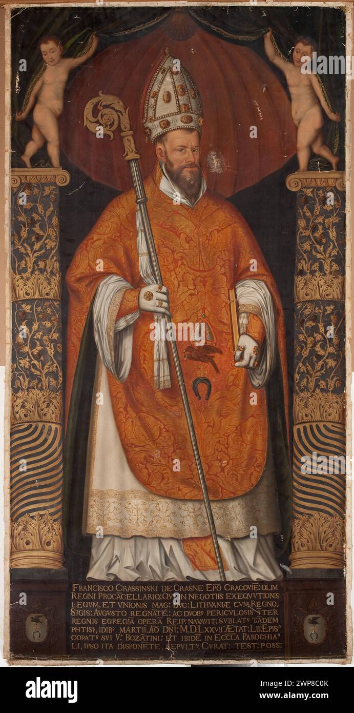 Biblioteka ordynacji krasinskich warszawa 1844 1944 kolek hi-res stock ...