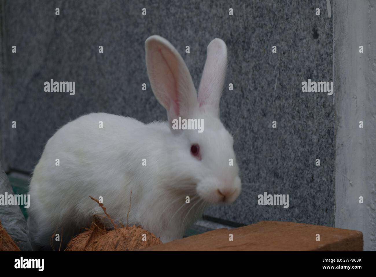 Edge of walls hi-res stock photography and images - Alamy